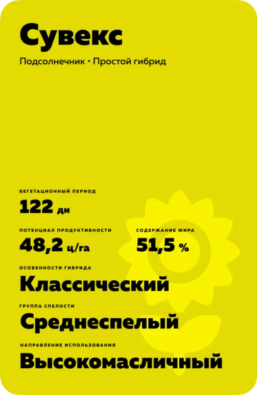 Сувекс (SUVEX) - гибрид подсолнечника Сингента (Syngenta). Характеристика