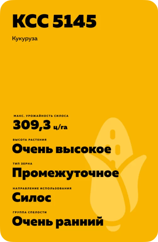 КСС 5145 - кукуруза. Характеристики и отзывы