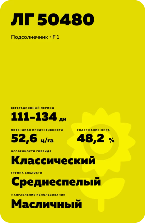 ЛГ 50480 - подсолнечник Лимагрейн. Характеристики и отзывы