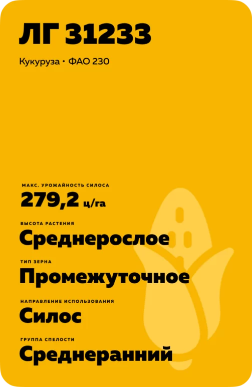ЛГ 31233 - гибрид кукурузы Лимагрейн. Характеристики и отзывы